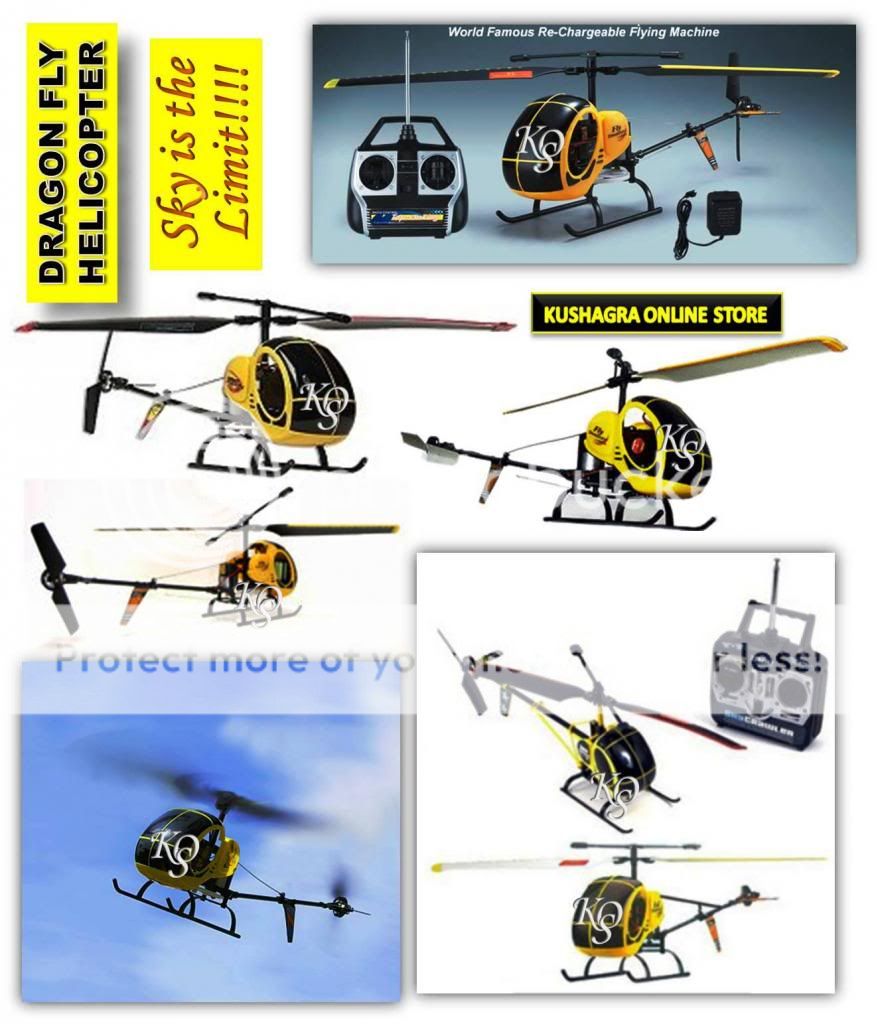 World's Most Popular DragonFly Radio Remote Control RC Real Look Helicopter
