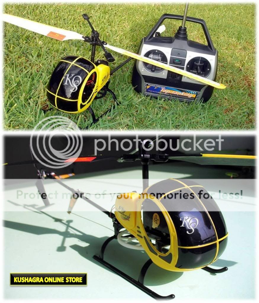 World's Most Popular DragonFly Radio Remote Control RC Real Look Helicopter